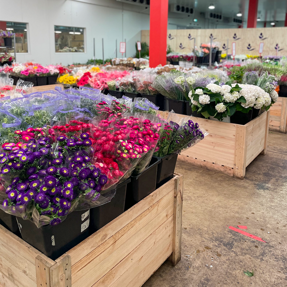 Who We Are | Tony's Flowers