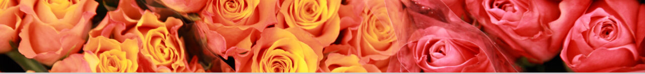 Who We Are | Tony's Flowers